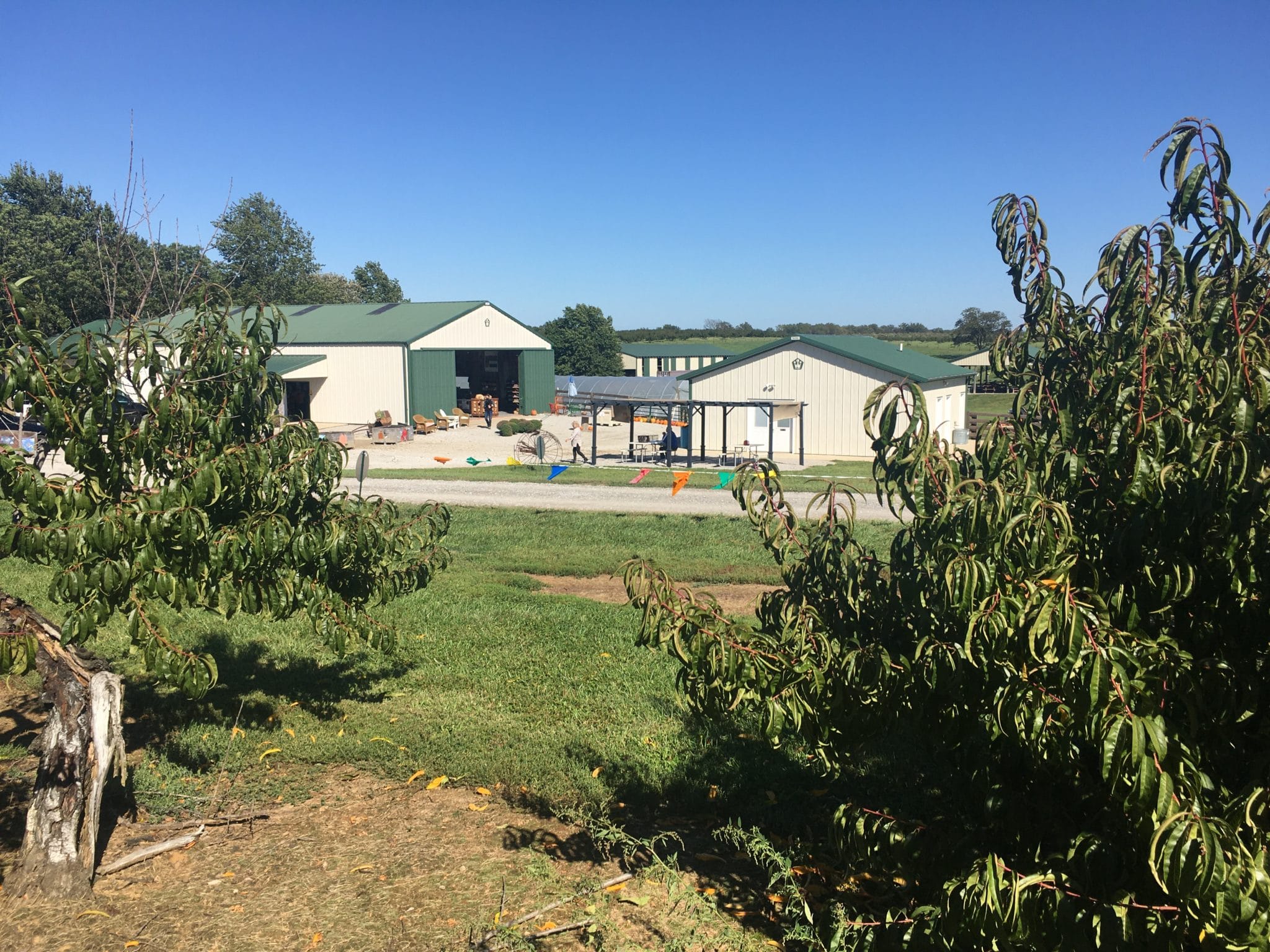 Country Orchard - Walters Buildings